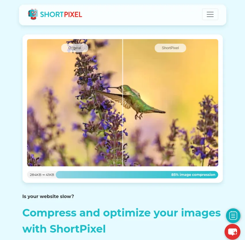 Short Pixel | Avis & Alternatives IA