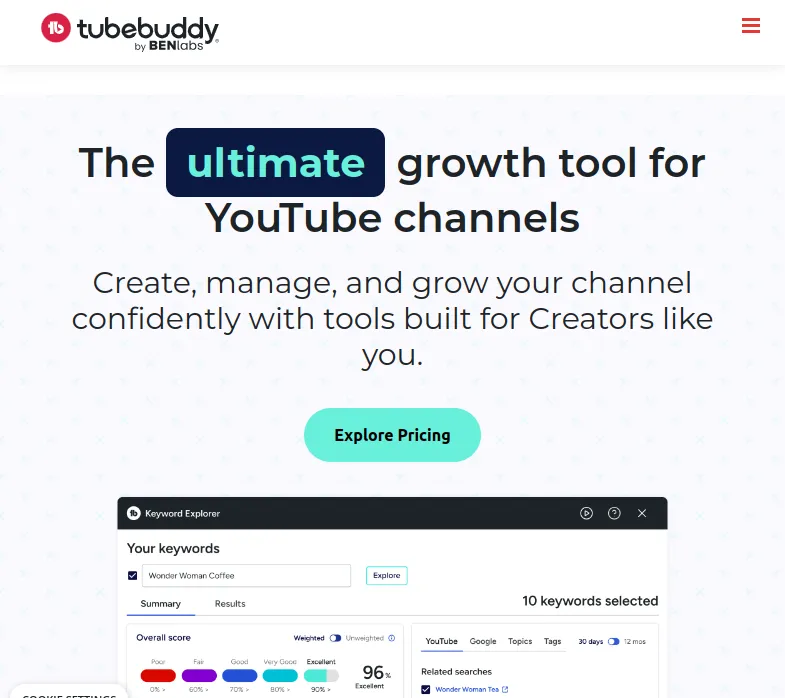 TubeBuddy | Avis & Alternatives IA